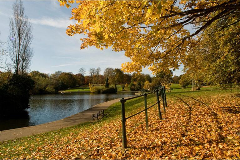 Estate Agents & Letting Agents in Northamptonshire | Jackson Grundy